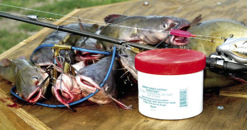 Whiskered Tradition | Center Light and Champion