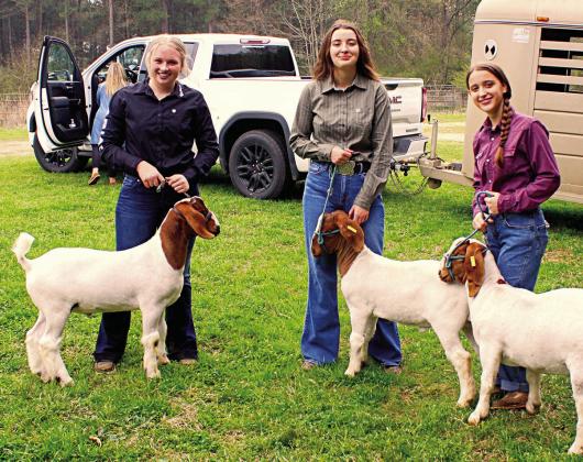 4-H and FFA Livestock Show attracts 100-plus exhibitors | Center Light ...